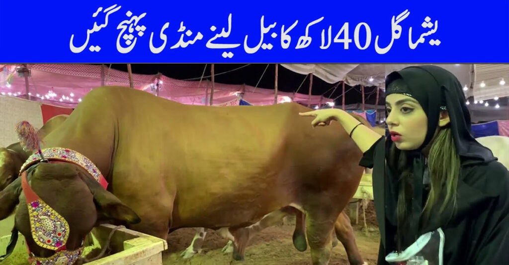 Seemi Zaidi Famous TV Actress Biography - Untold Story - ThePakistanToday